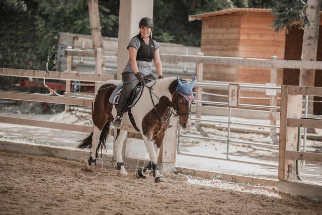 Dressur- und Springkurs mit Nina Sagmeister & Barbara Röder im UPSV ...
