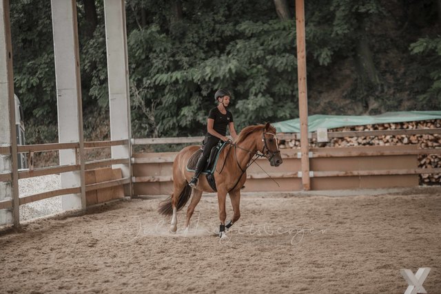 Dressur- und Springkurs mit Nina Sagmeister & Barbara Röder im UPSV ...