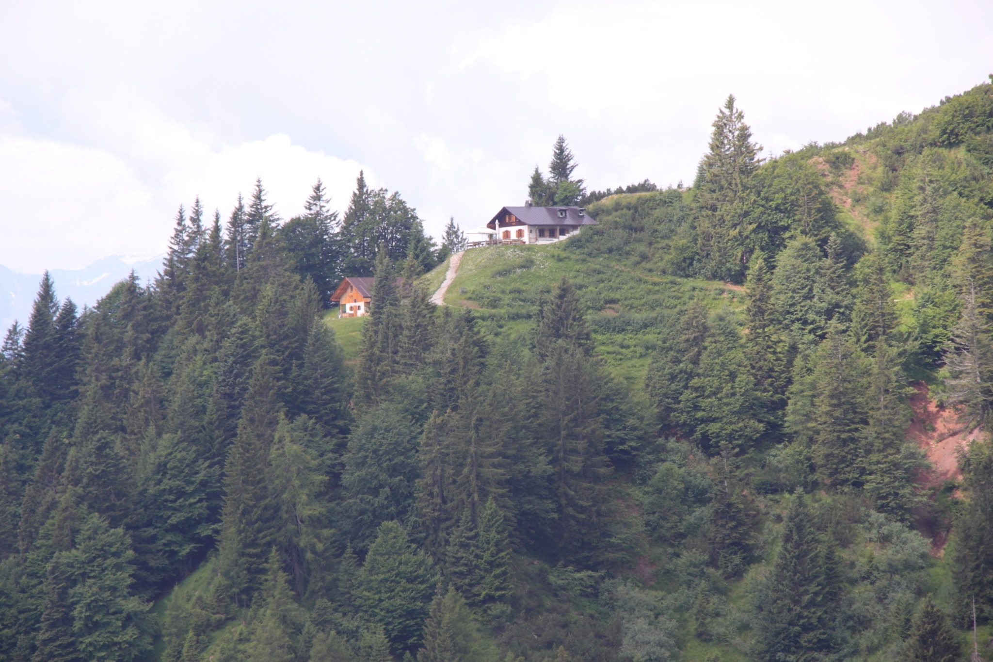 Vintl Alm - Innsbruck