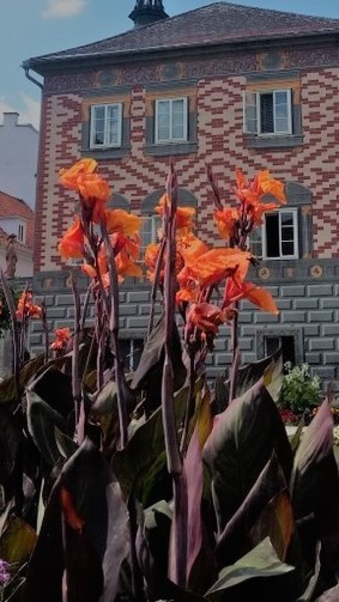 Burggarten Wels - Wels & Wels Land