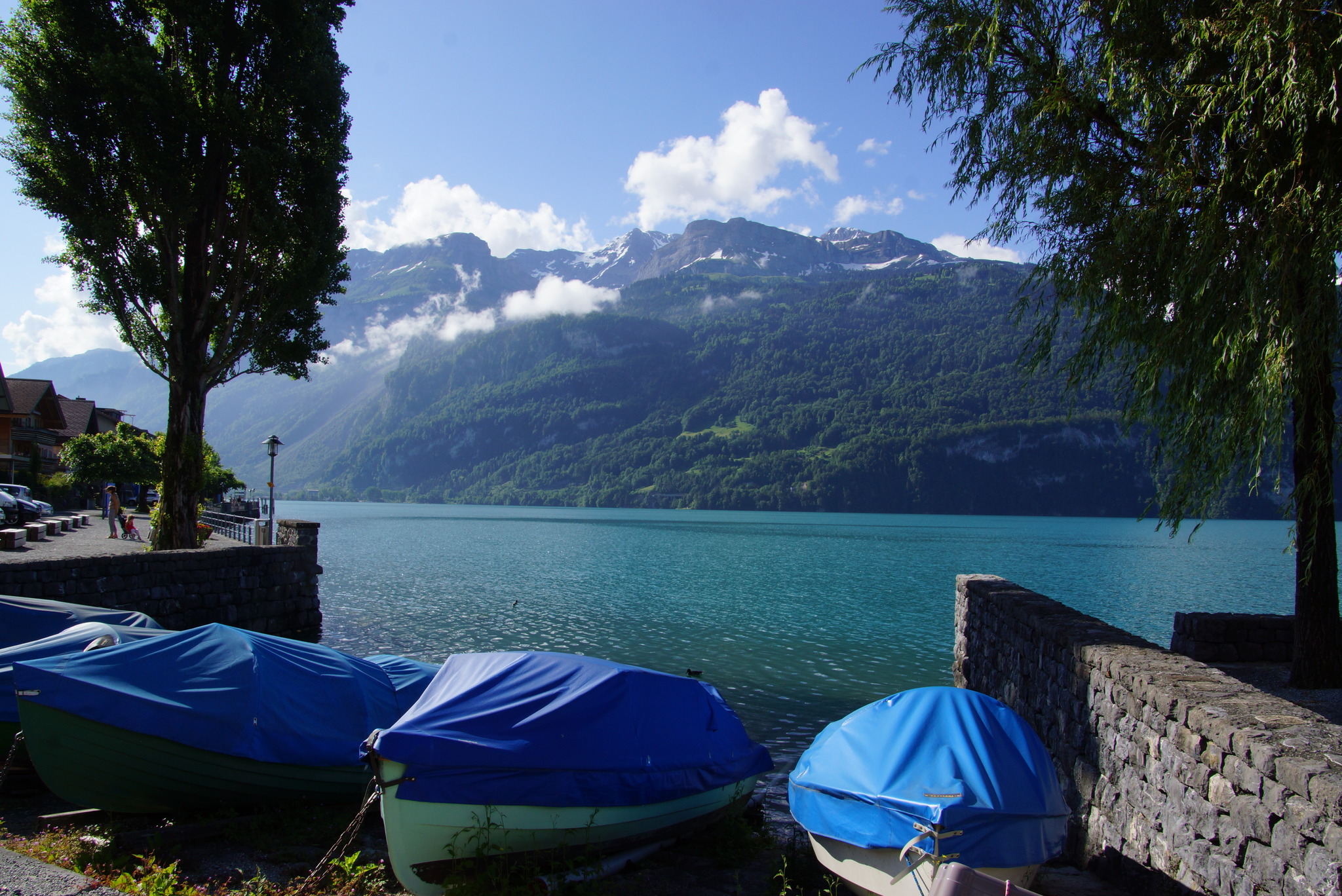 Gebirge und See in Brienz (Schweiz) - Liesing