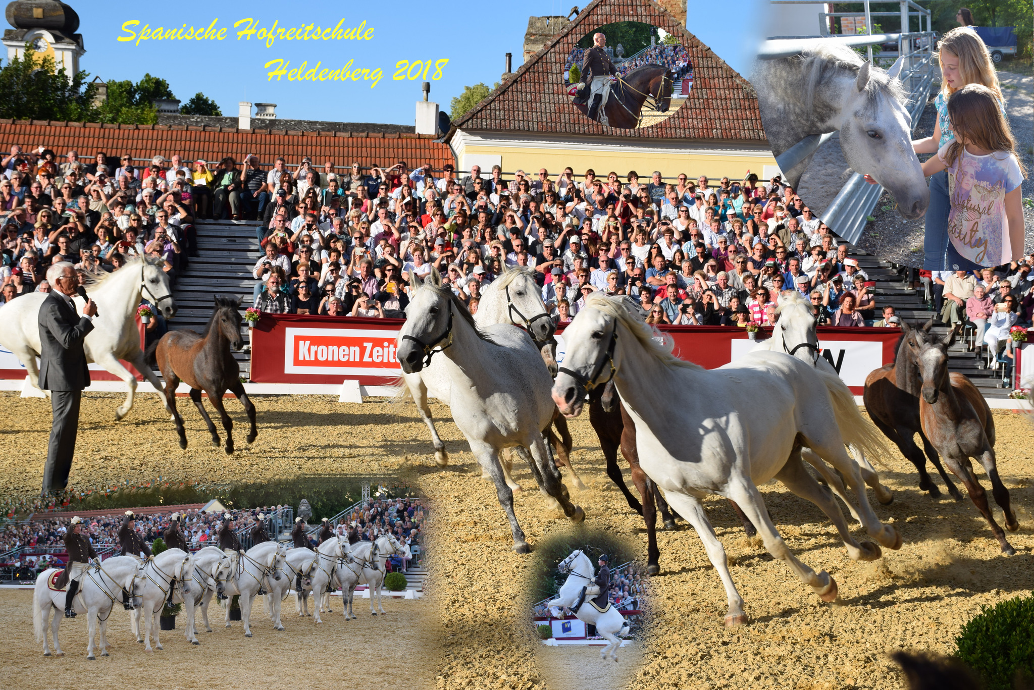 10. Lipizzanergala am Heldenberg - Melk
