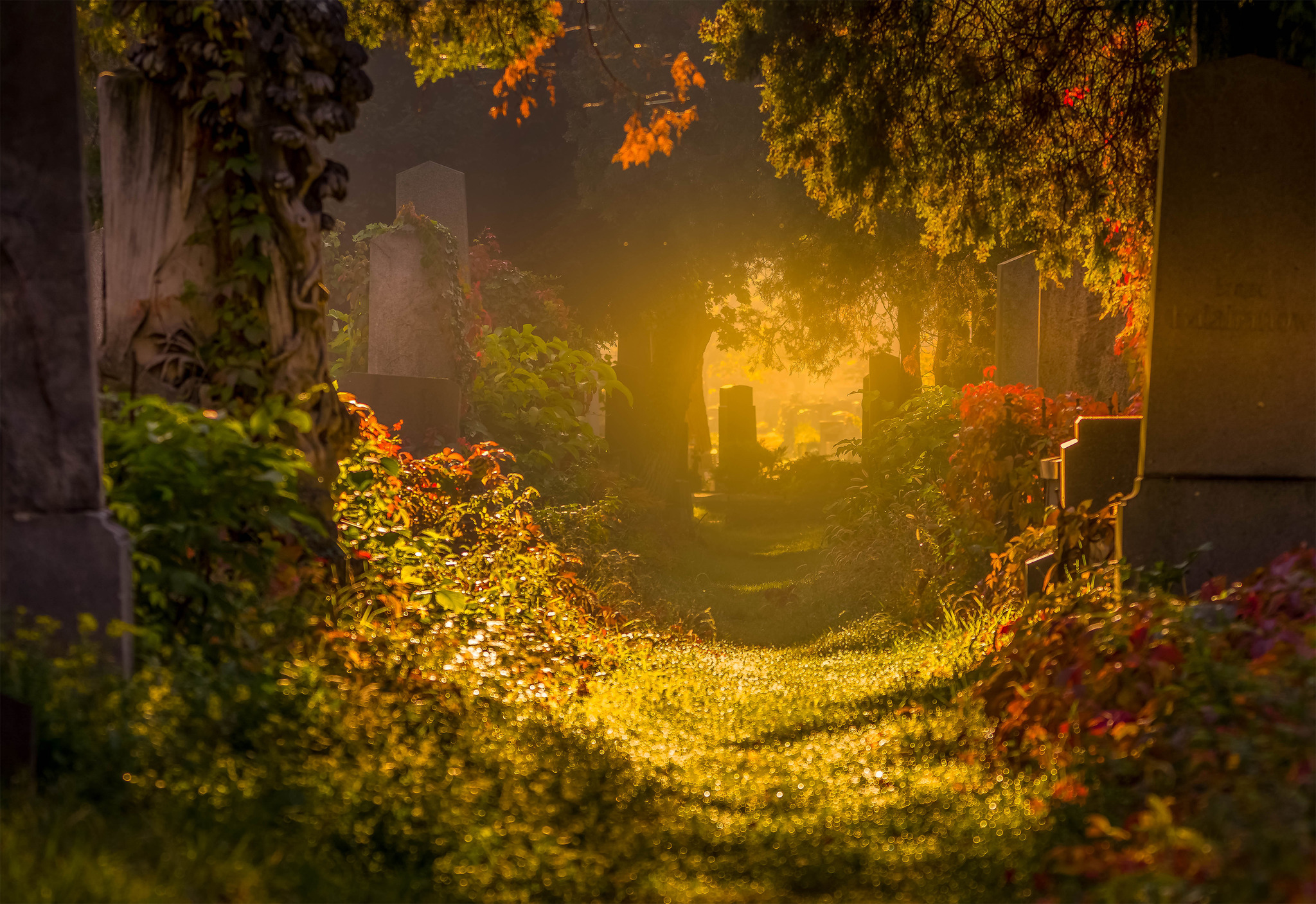 Zentralfriedhof in Wien - Landstraße