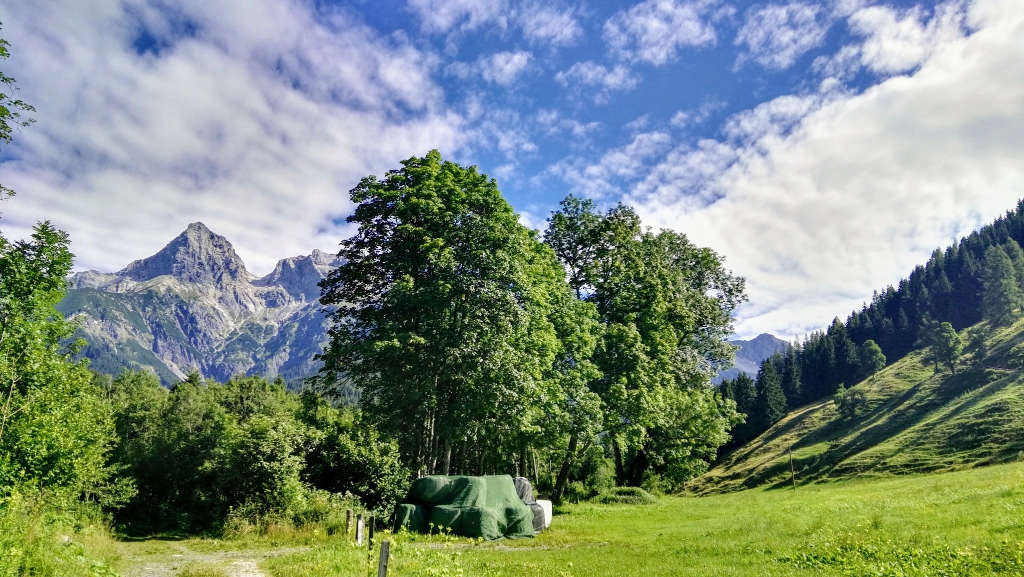 Blick auf's Selbhorn - Pinzgau