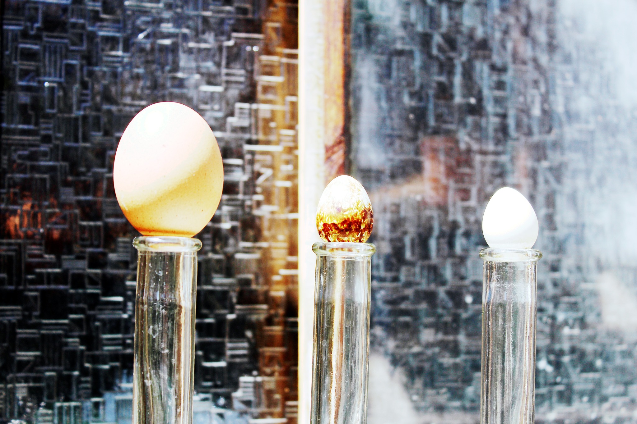 Hühnerei - Wachtelei - weißes Wachtelei (ganz selten) - Horn