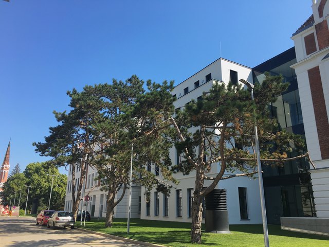 Neue Psychiatrische Abteilung im KH Hietzing. - Hietzing