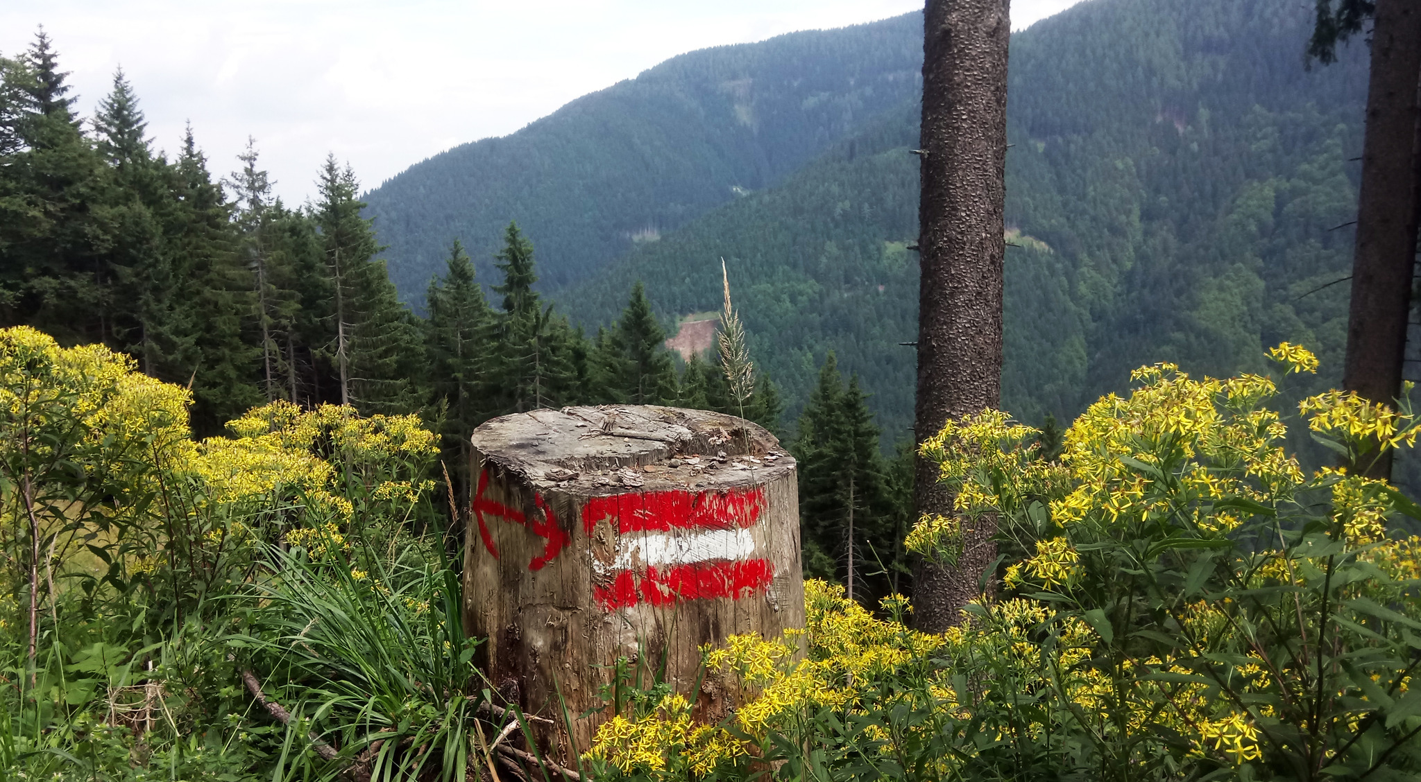 Wurzenpass - Villach Land