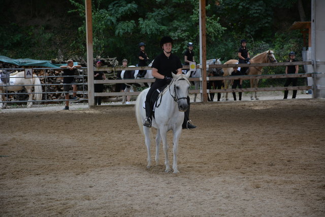 Weiße Fahne im UPSV Hobby Pferd Moosbierbaum - Tulln