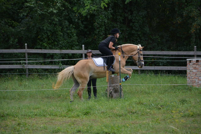 Weiße Fahne im UPSV Hobby Pferd Moosbierbaum - Tulln