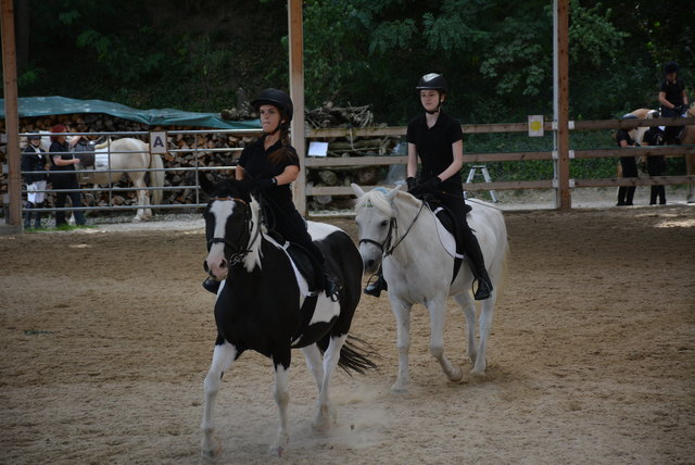 Weiße Fahne im UPSV Hobby Pferd Moosbierbaum - Tulln