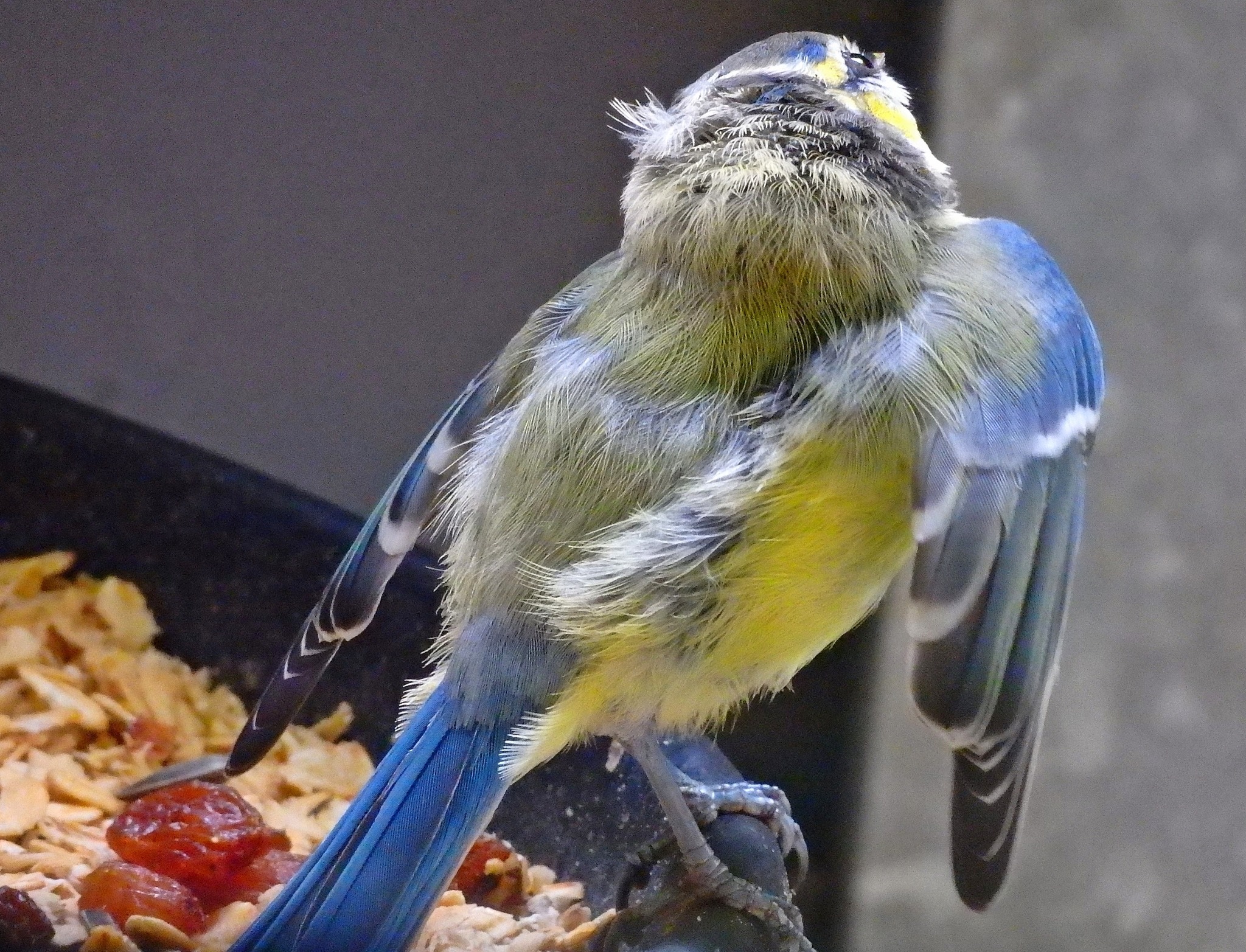 Ein schöner Rücken kann auch entzücken :) - Krems