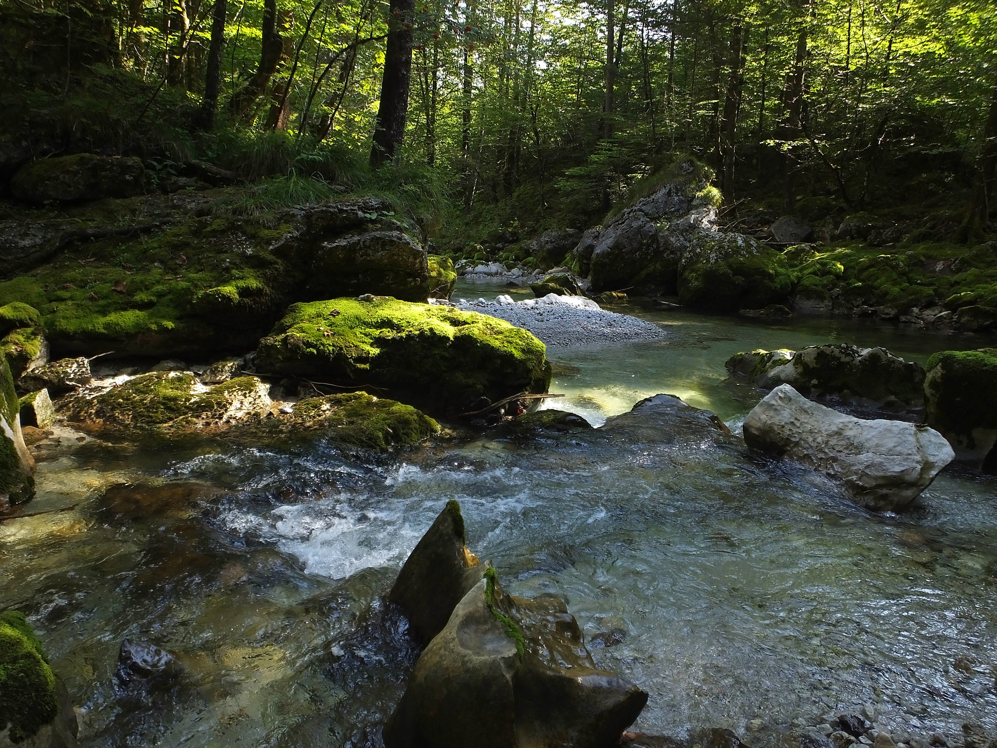 Am Bach entlang - Tennengau