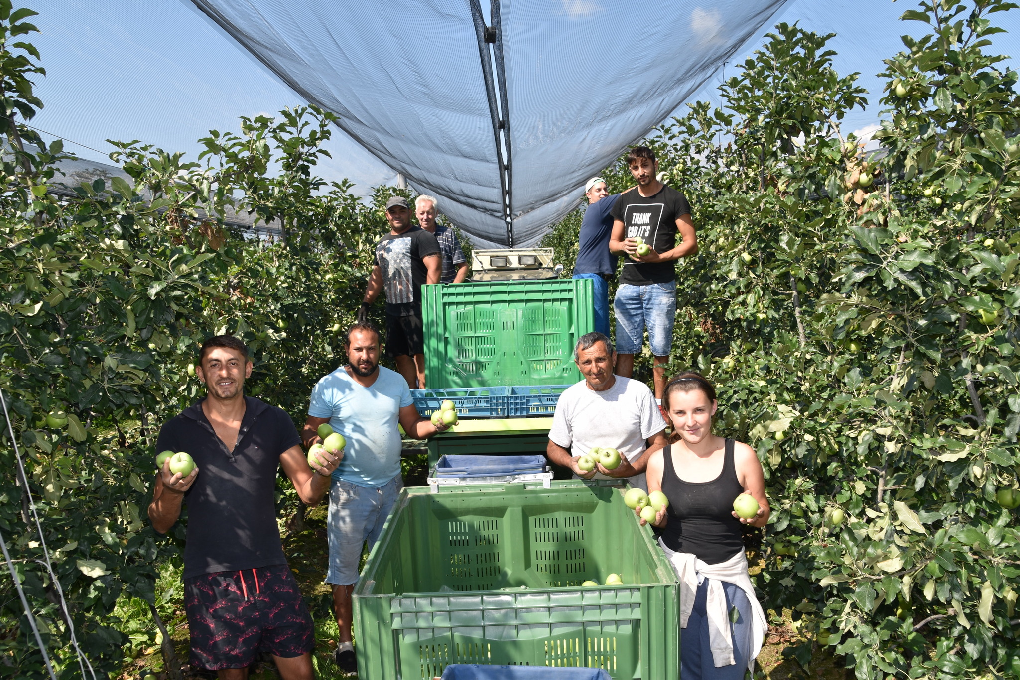 Südburgenland: Rekordernte presst die Apfel-Preise aus - Güssing