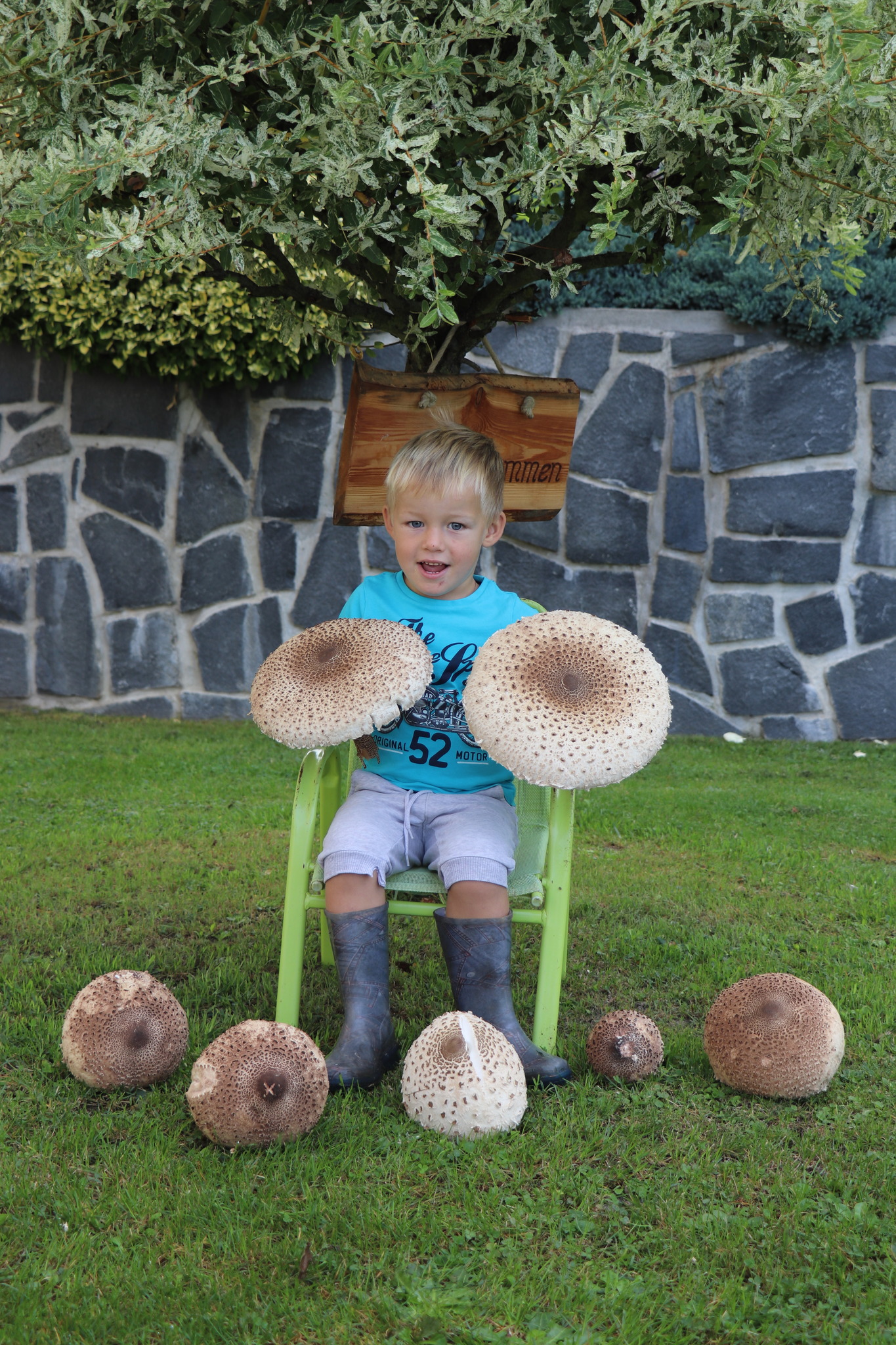 Parasol-Fund der Extraklasse in Julbach - Rohrbach