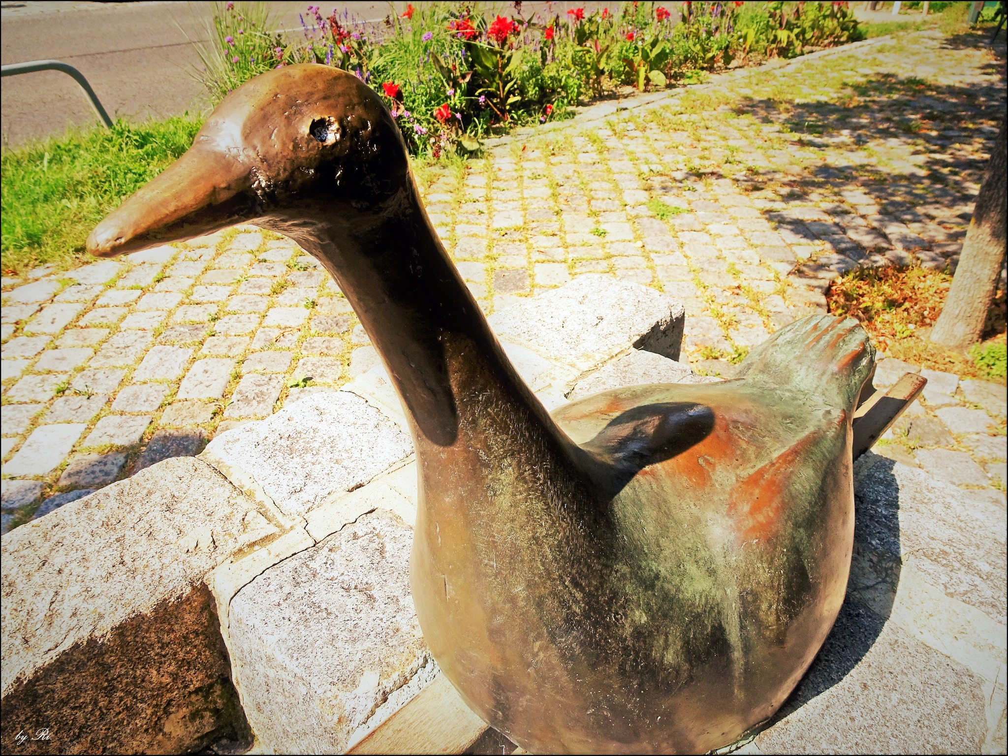 Aus meinen Stadtspaziergängen - Über die ungewöhnliche Gans Lilli und ...