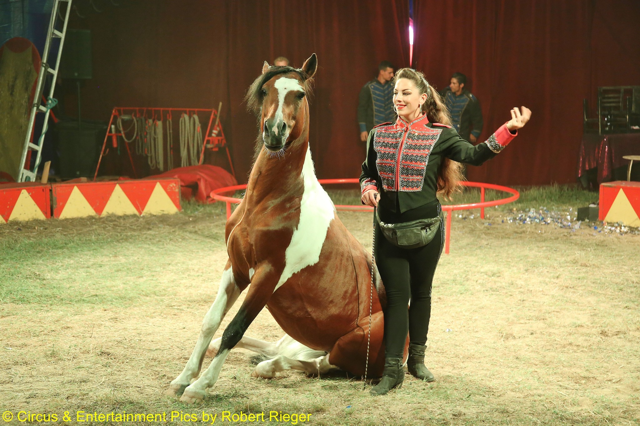 Circus Althoff kommt nach Amstetten - Amstetten