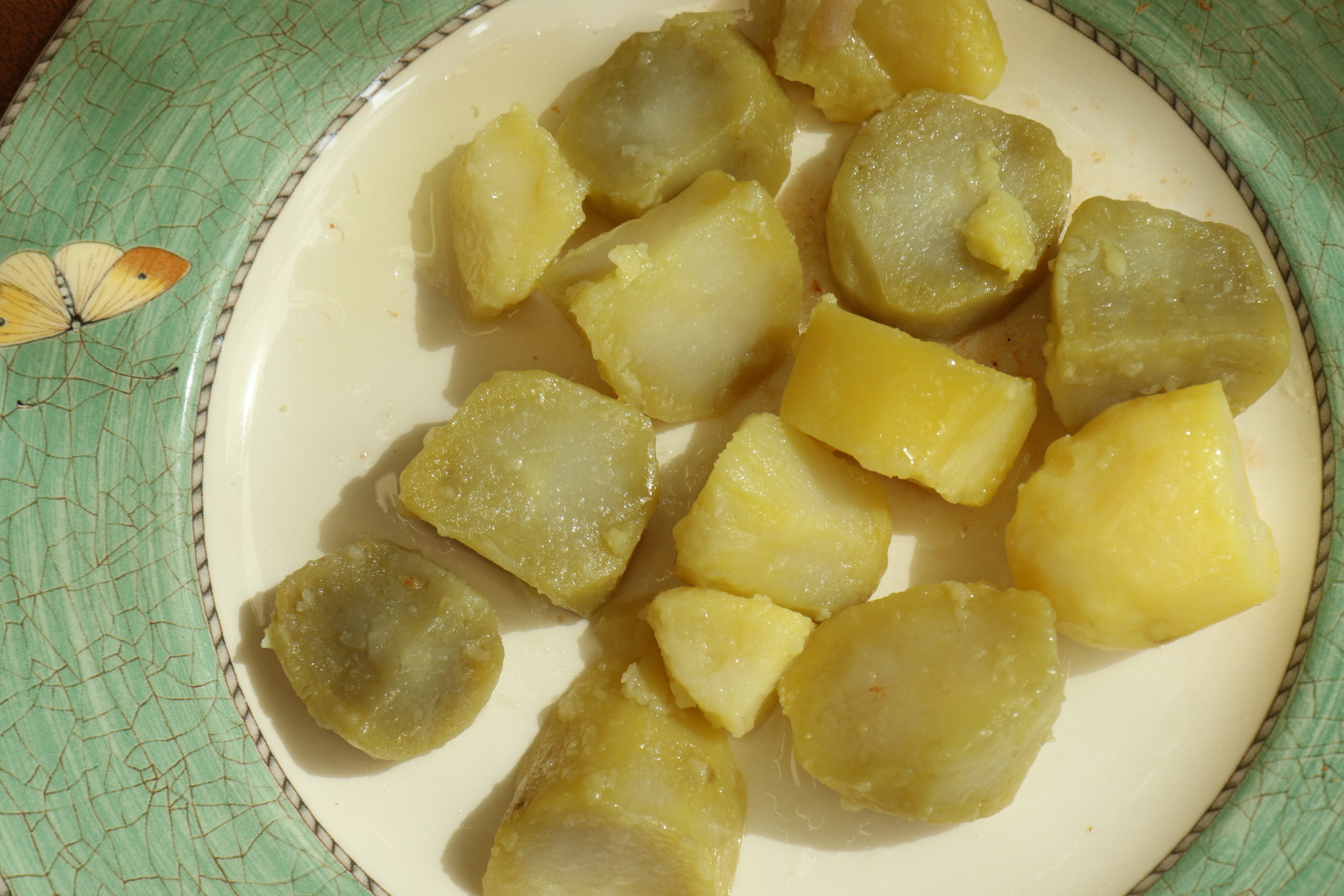 Die tolle Knolle - Kartoffel - Purkersdorf