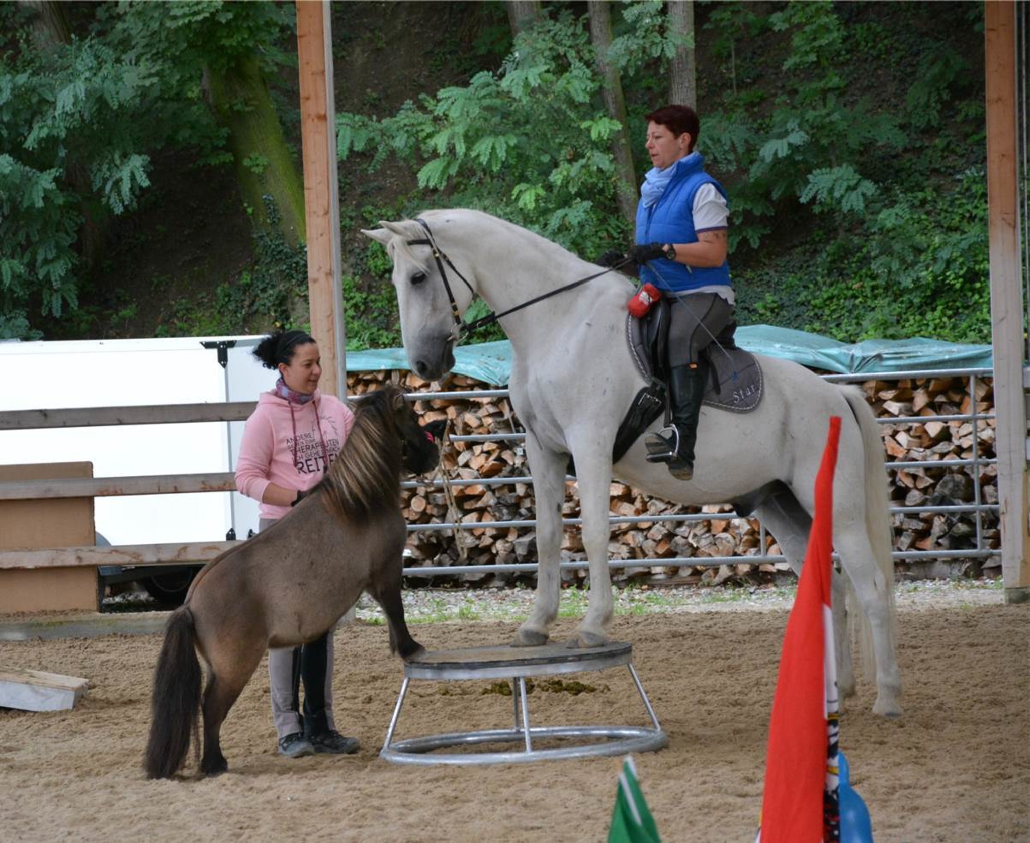 Zirkustik Kurs mit Martina Jirsa im UPSV Hobby Pferd - Tulln