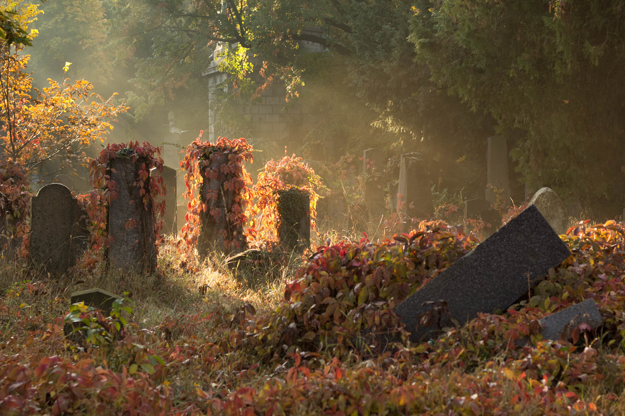 Herbst am Friedhof - Simmering
