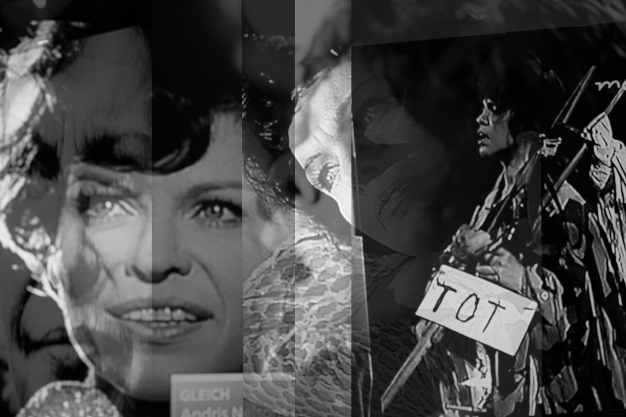 Inge Beat: Darstellung des Todes der Inge Beat - Linz