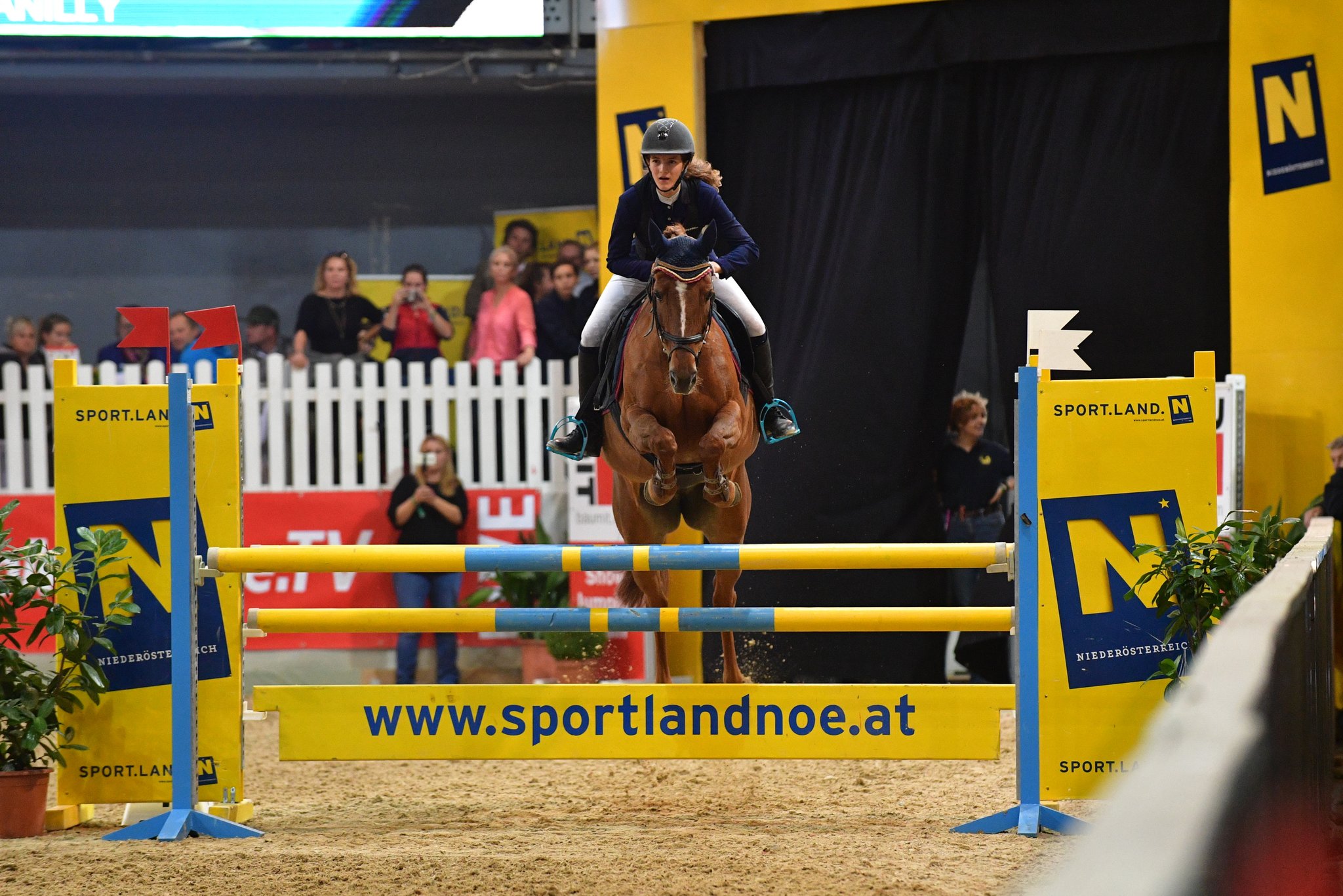 Internationales Springturnier: Großer Erfolg für Neumarkter Reiterinnen ...