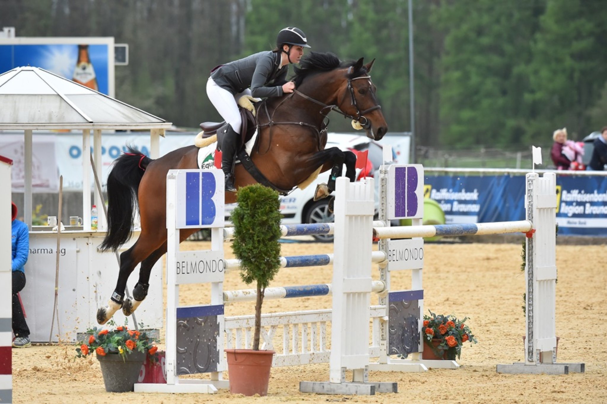 Reitturnier: Sensationssieg bei Ranshofner Abschlussturnier - Braunau