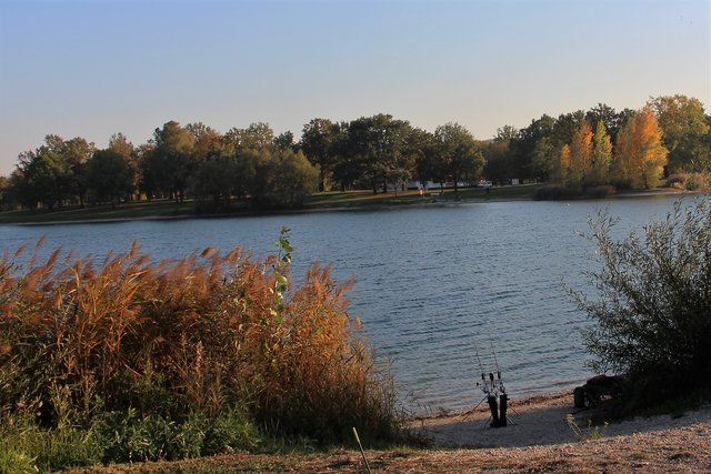 Noch wird gebadet im Pichlingersee: Eine Runde um den Pichlingersee - Linz