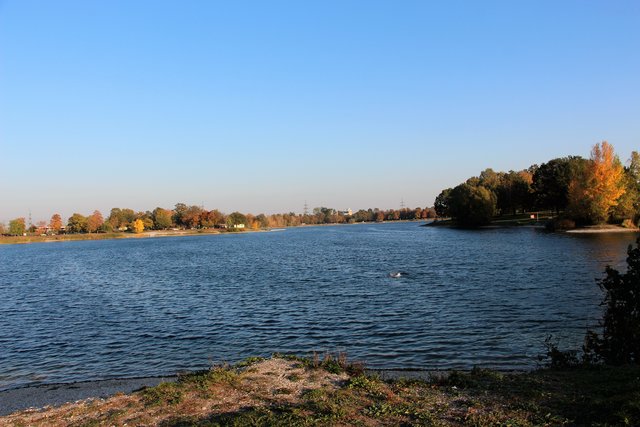 Noch wird gebadet im Pichlingersee: Eine Runde um den Pichlingersee - Linz