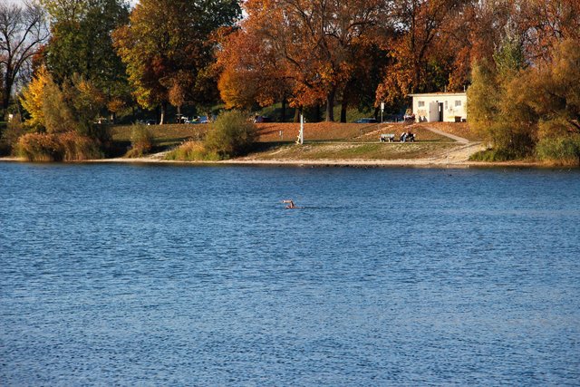 Noch wird gebadet im Pichlingersee: Eine Runde um den Pichlingersee - Linz