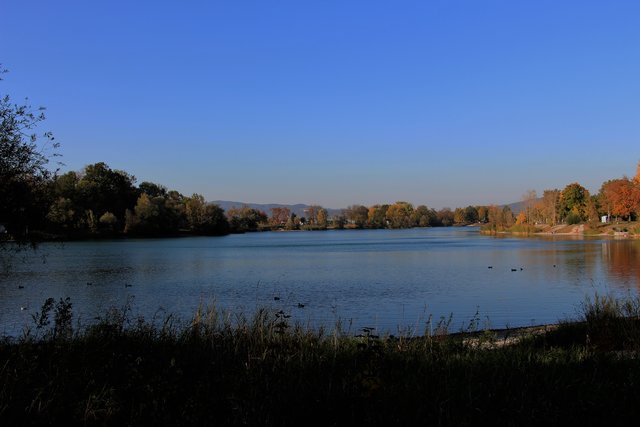 Noch wird gebadet im Pichlingersee: Eine Runde um den Pichlingersee - Linz