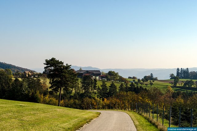 Jauerling-Runde: Wanderung von Aggsbach Markt nach Maria Laach - Krems
