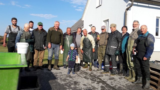 Abfischen in Ottenschlag - Zwettl