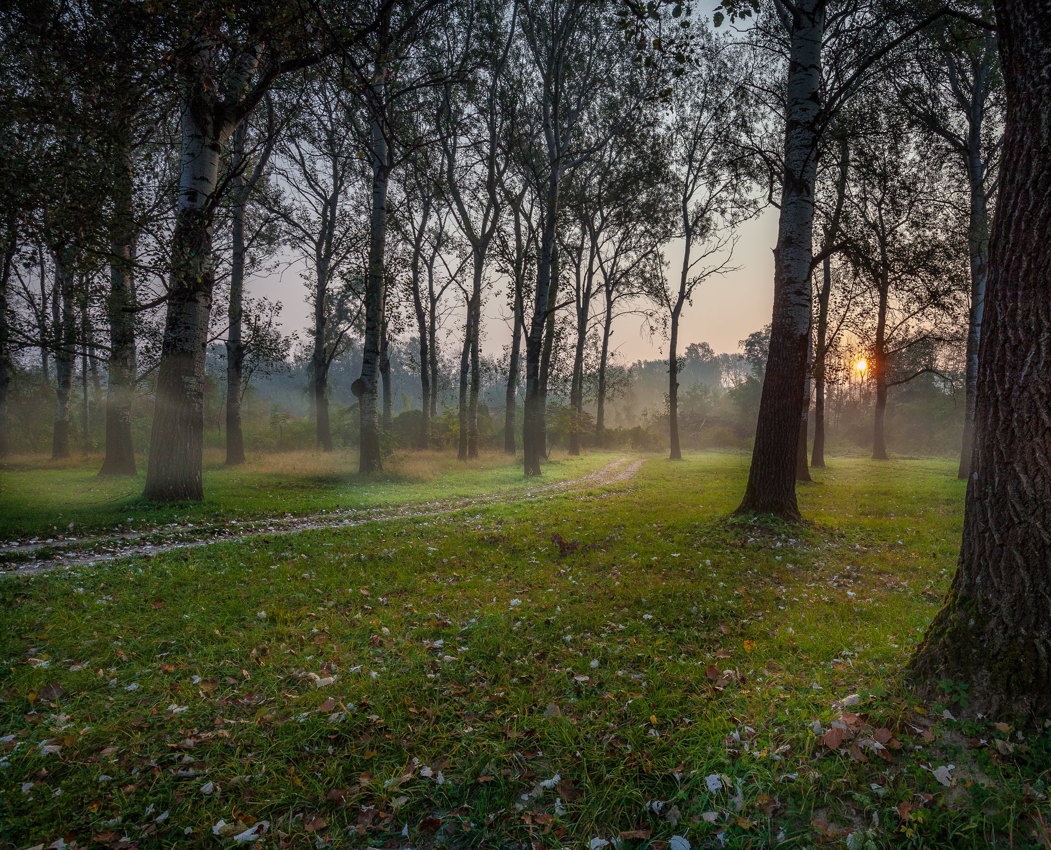 Aubad Tulln: Der Herbst im Tullner Aubad - Tulln