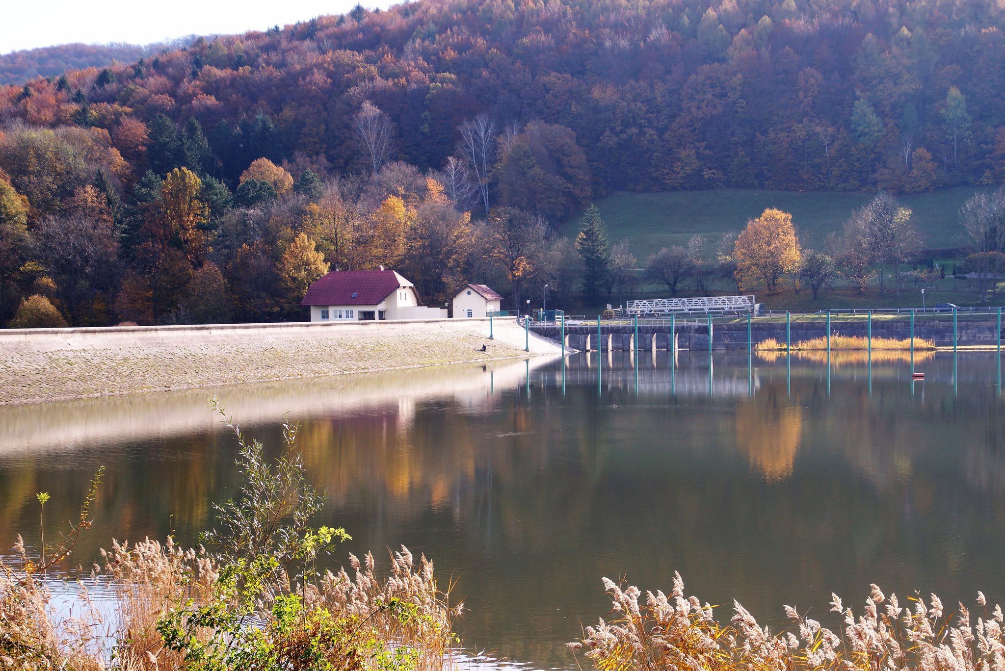 Wienerwaldsee: Ursprung des Wienflusses - Purkersdorf