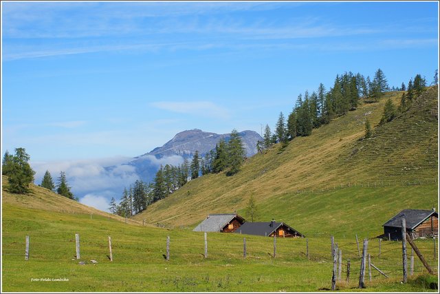 Auf der Postalm: Hochplateau Postalm - Salzkammergut