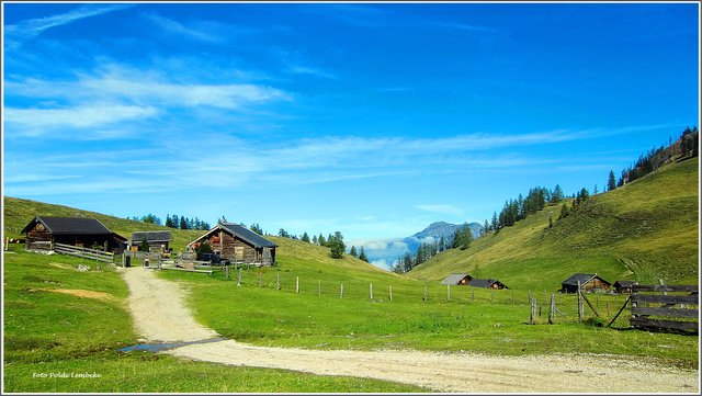 Auf der Postalm: Hochplateau Postalm - Salzkammergut