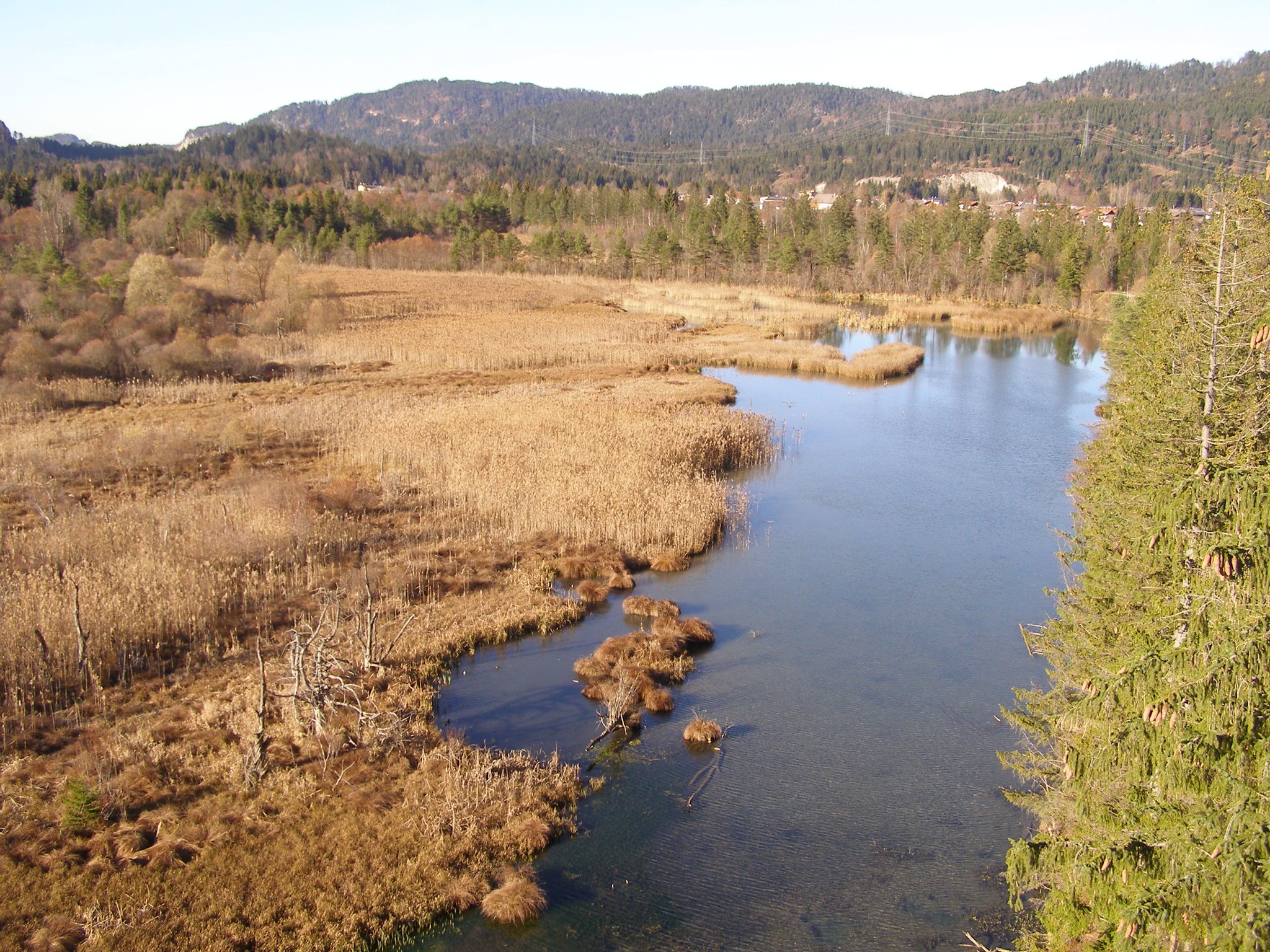 Naturpark Tiroler Lech: vom Vogelturm in Pflach - Reutte
