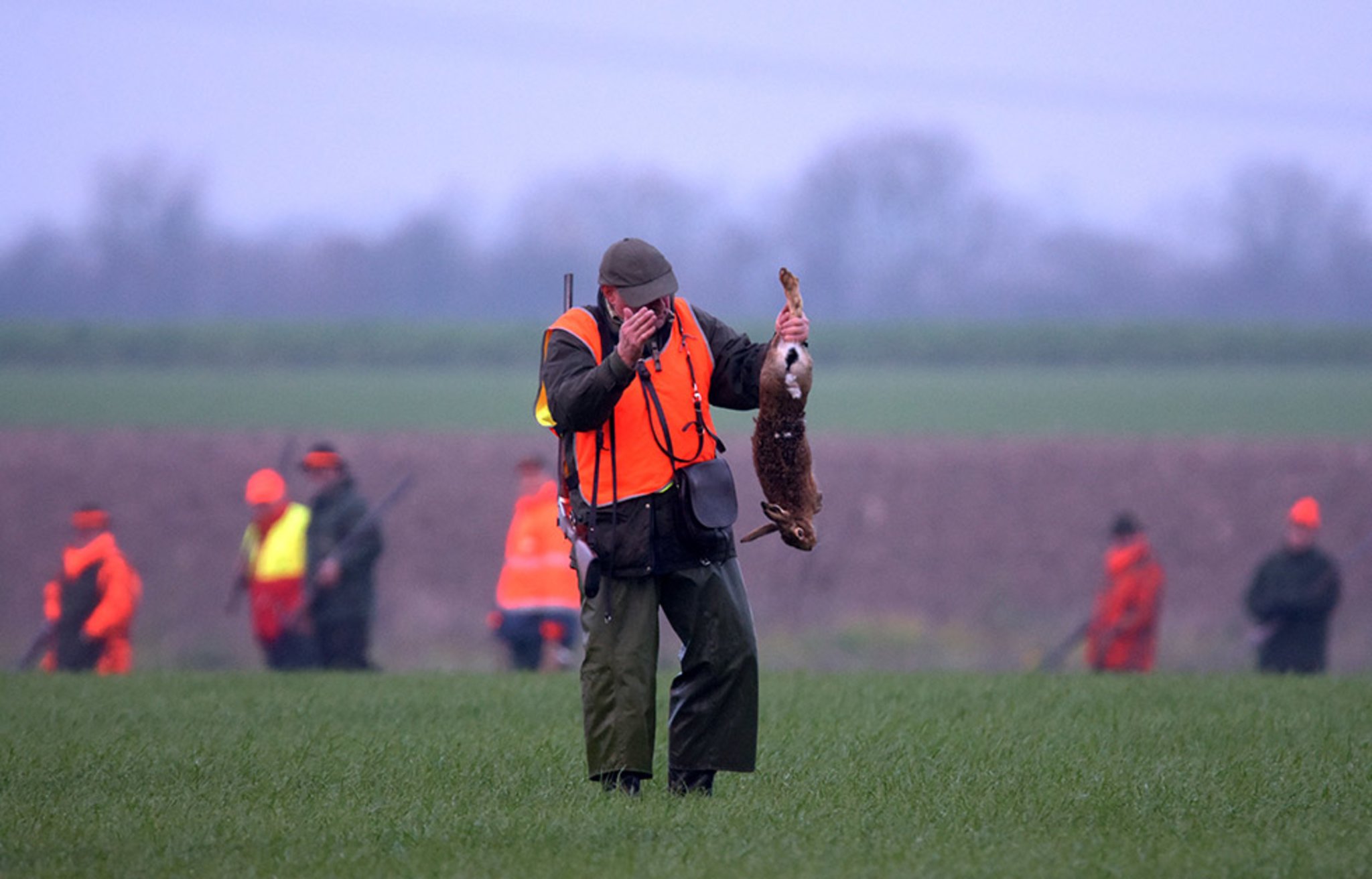 Treibjagd: Saison für Jäger und Treiber – auch im Bezirk Korneuburg ...