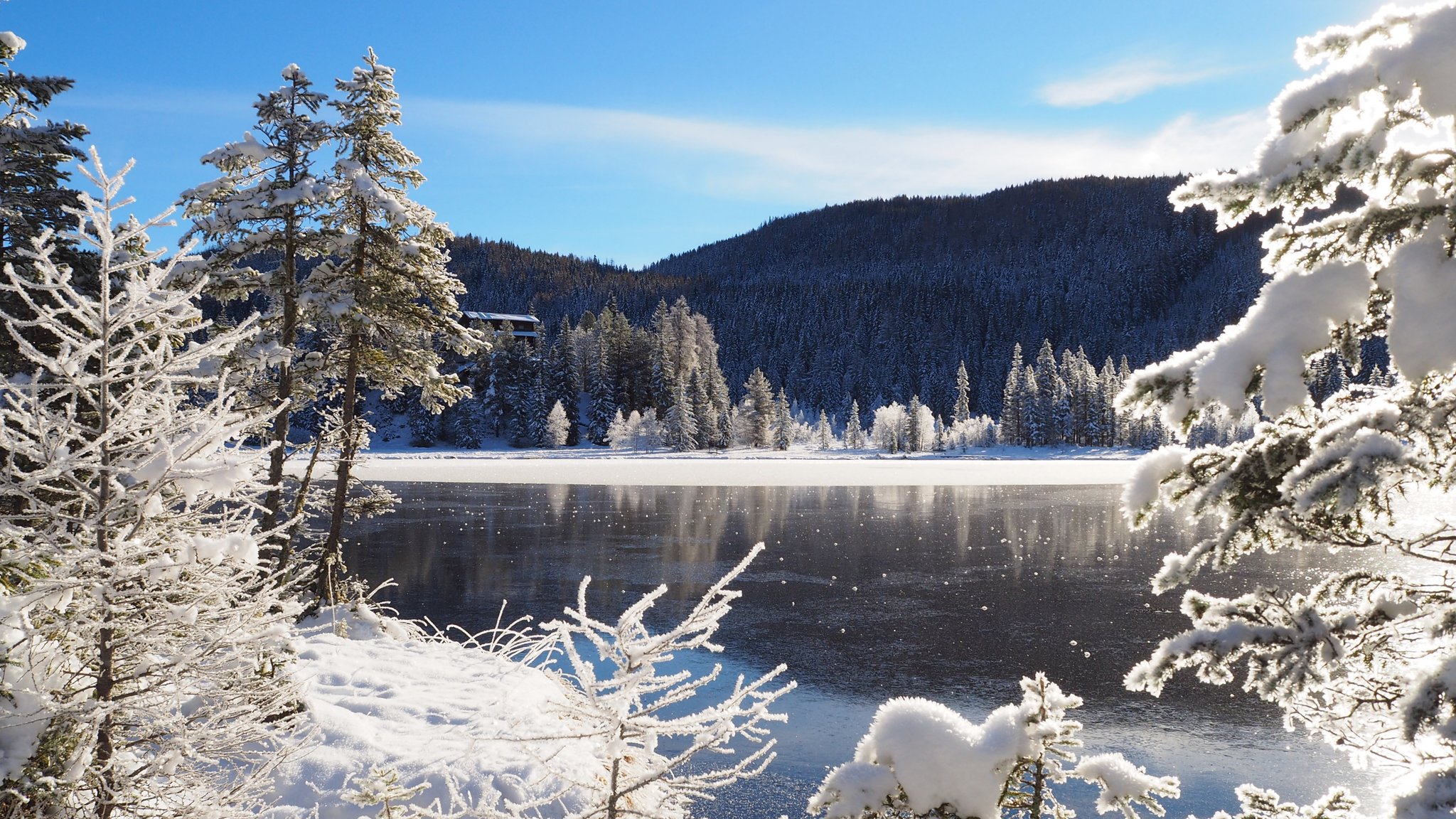 Der Winter zauberte als glänzende Pracht Eiskristalle in die Natur über ...