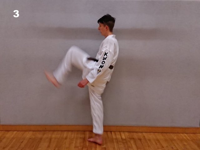 Taekwondo Grundtechniken: Taekwondo Technik des Monats Dezember - Ap ...