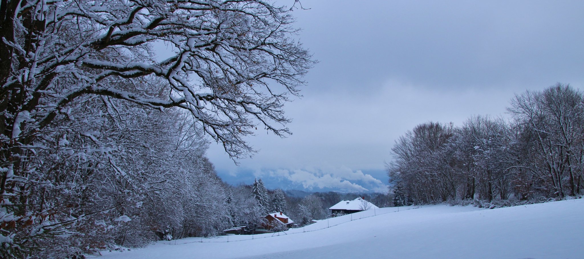 Wintereinbruch: Der nächtliche Schneefall... - Vöcklabruck