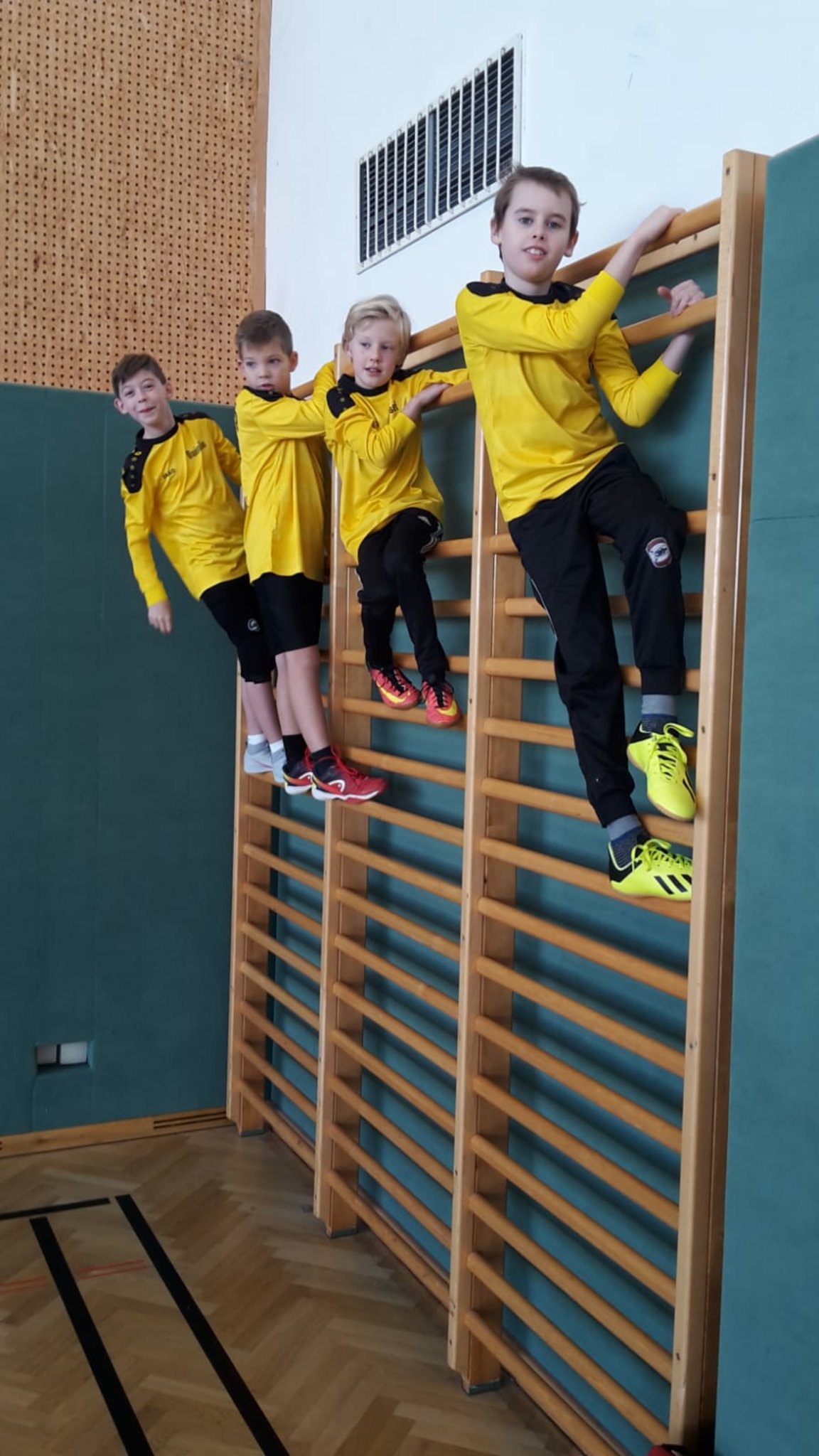 Faustball: Laas junge Faustballer auf Siegestour - Mistelbach