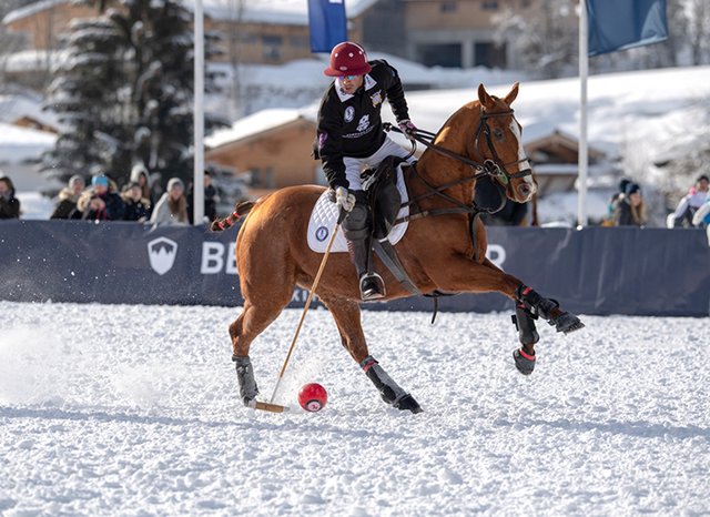 Snow Polo: Schneebahn, roter Ball, schnelle Pferde... mit VIDEO ...