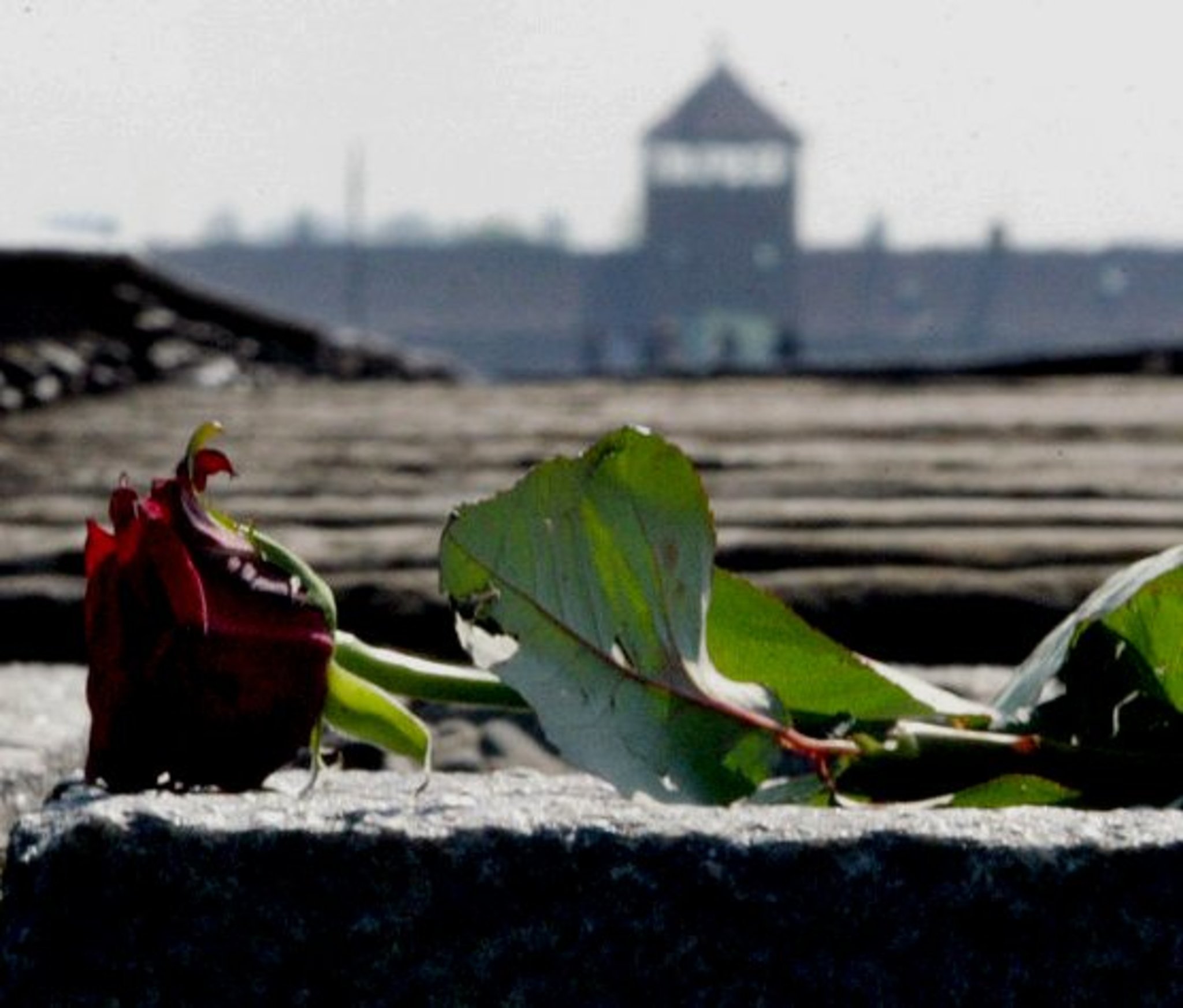 27. Januar 1945: Auschwitz - Befreiung und Marsch in den Tod ...