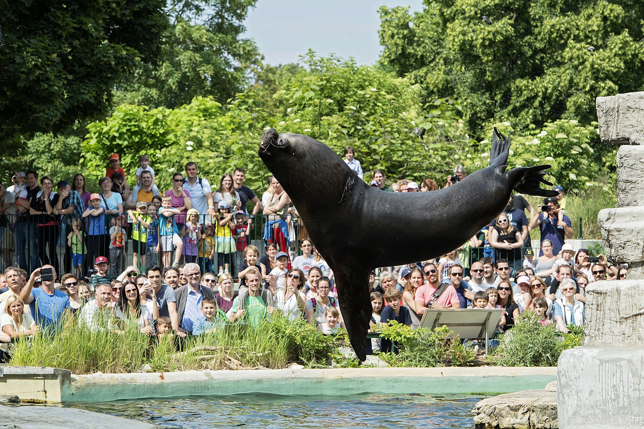 Mehr Besucher im Tiergarten Schönbrunn im Jahr 2018