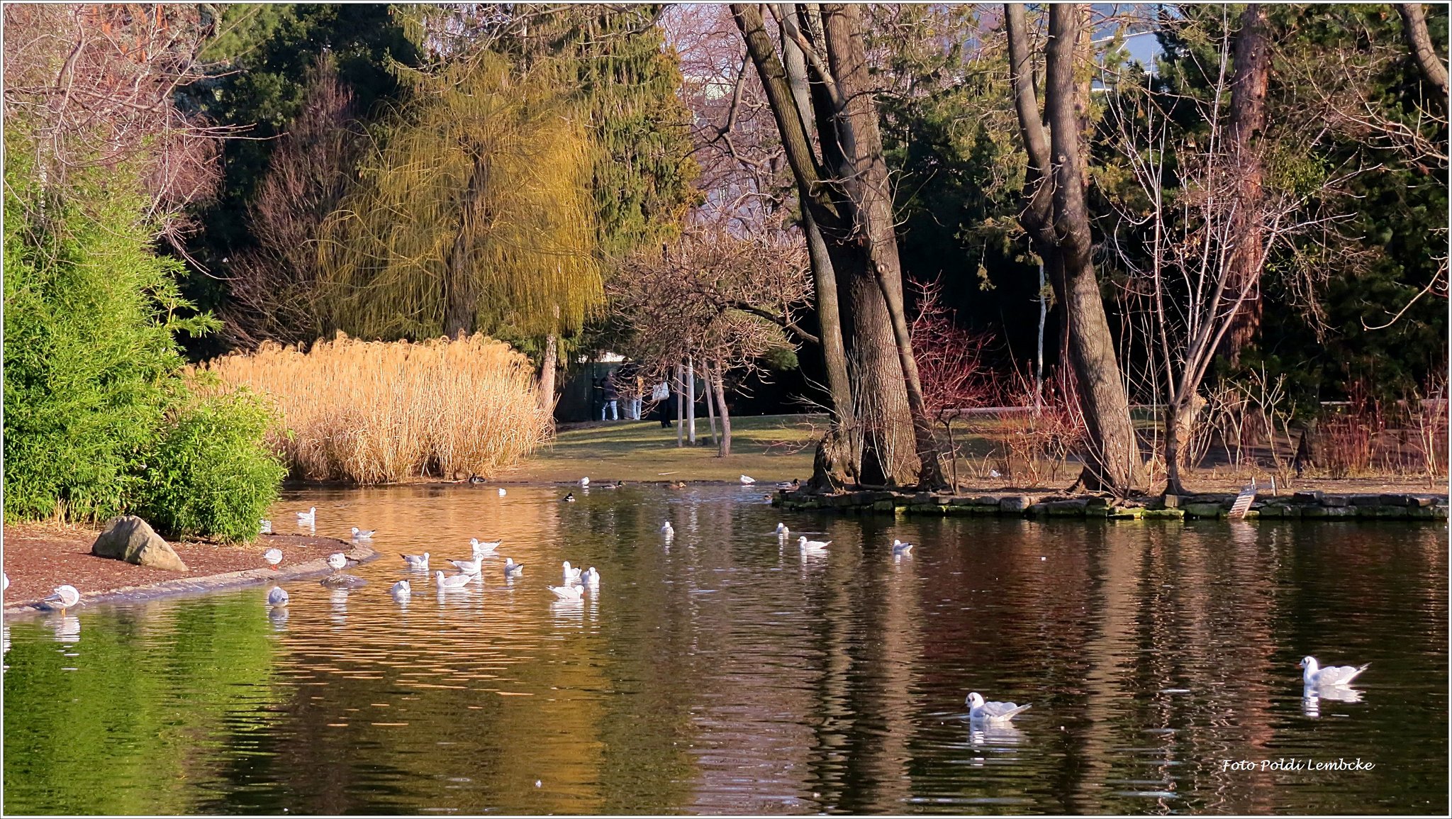 Der Wiener Stadtpark: Stimmungsfotos aus dem Stadtpark - Innere Stadt