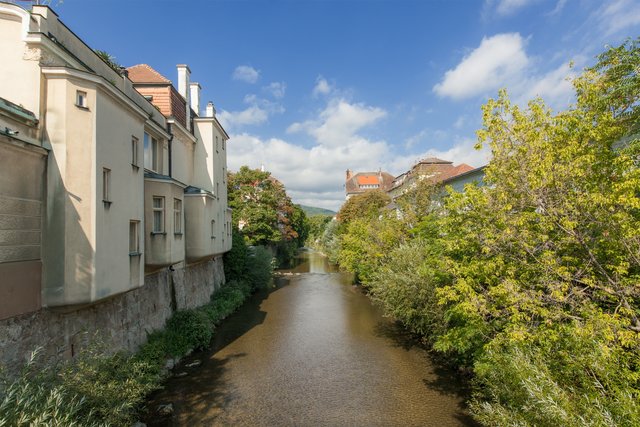 Umwelt im Bezirk Baden: Die Schwechat, ein Fluss in der Krise (Teil 4 ...