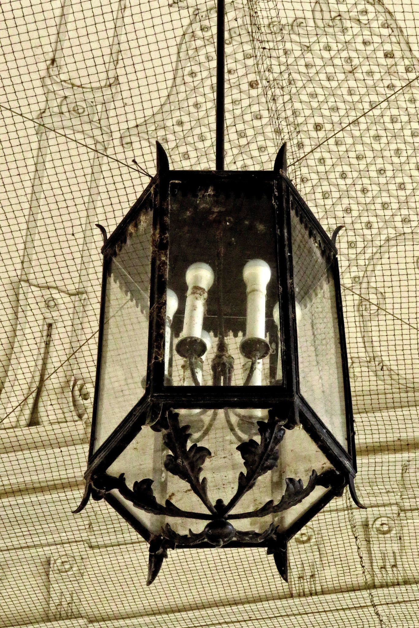 Zu guter Letzt: Lichtblicke - Landstraße