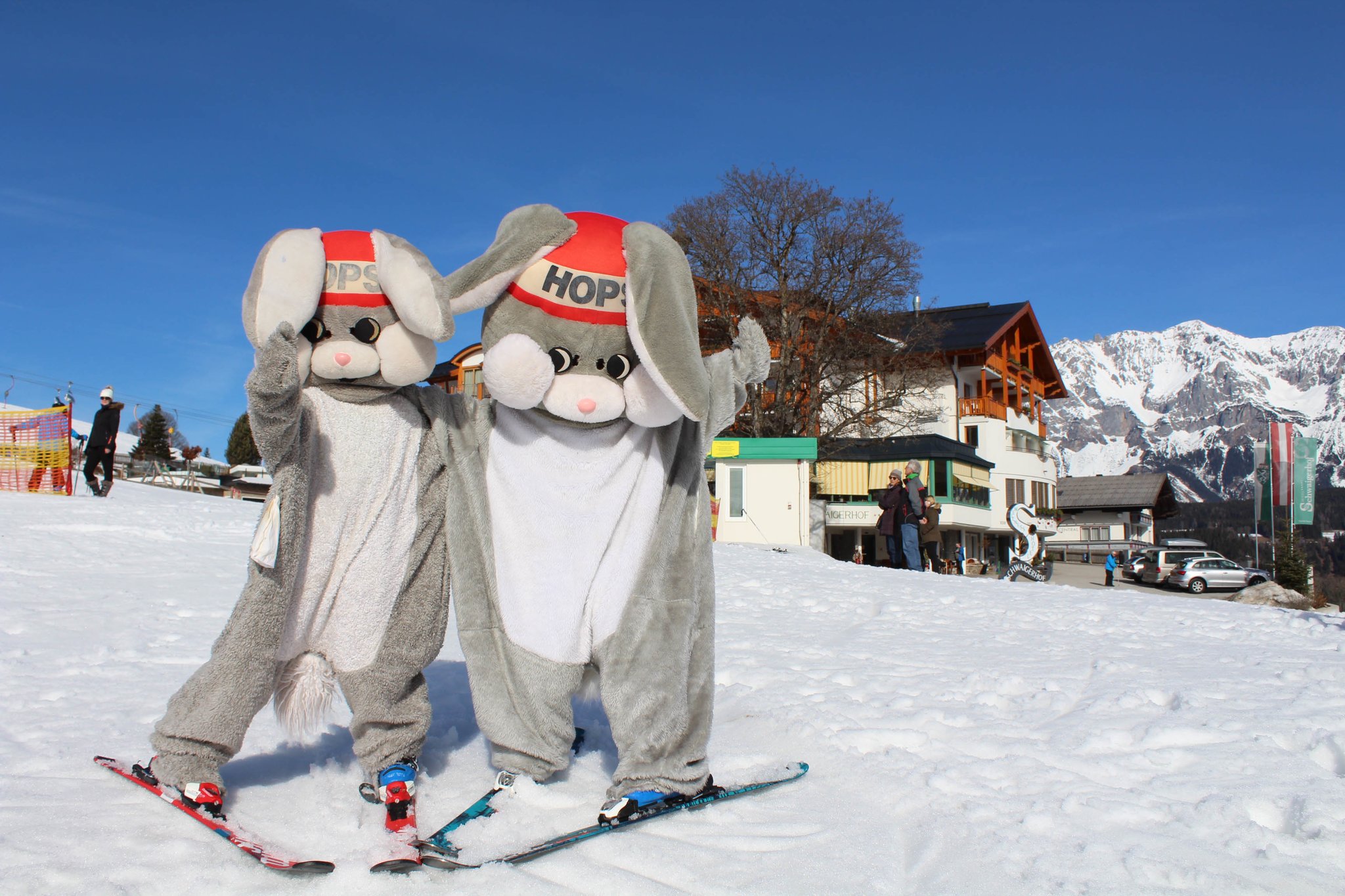 Hase Hopsi immer noch beliebt: "Hopsi" ist der Liebling der Schischulen ...