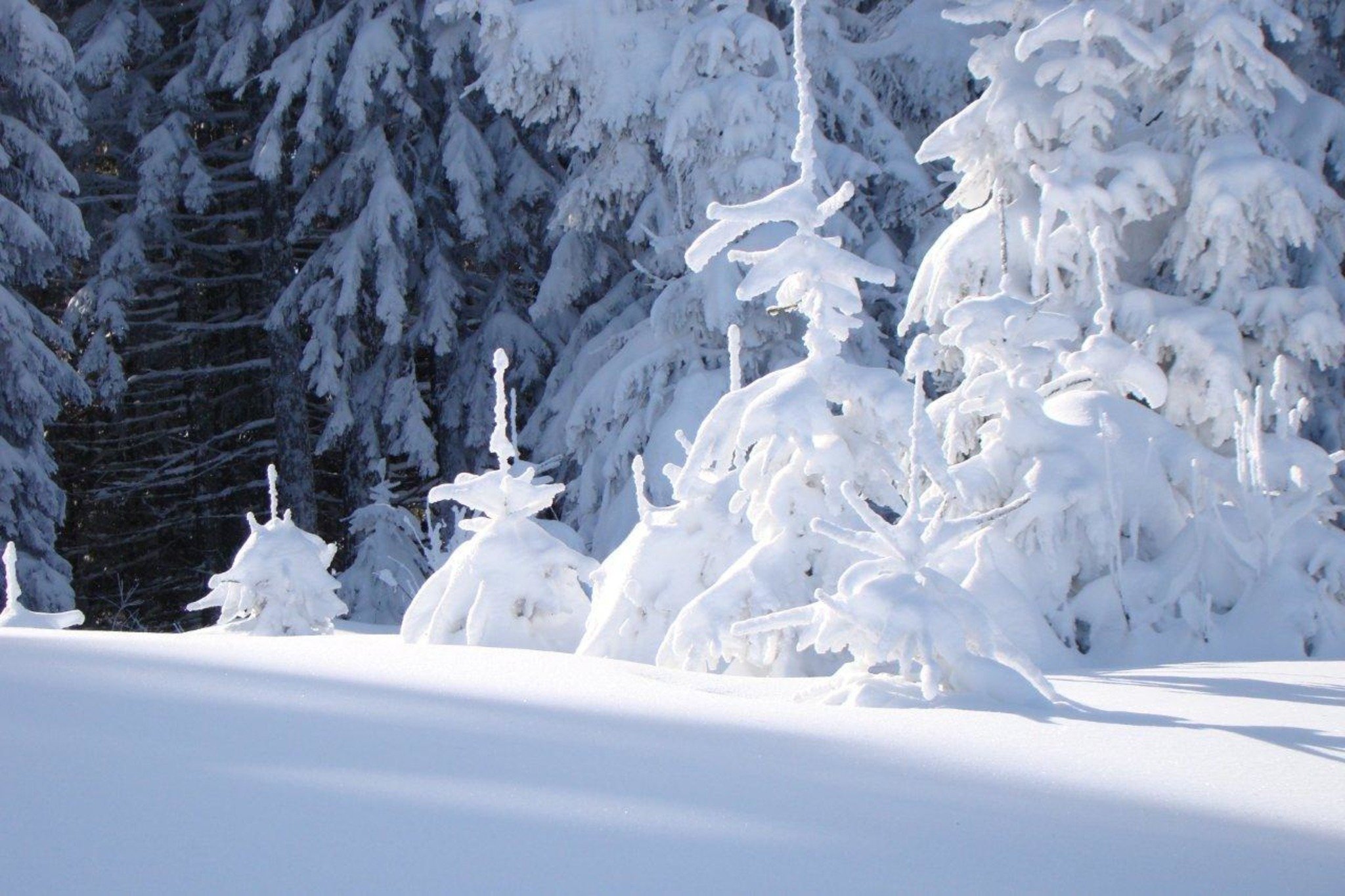 Wetter in Tirol: Wetterrückblick – Niederschlagsreichster Winter seit ...